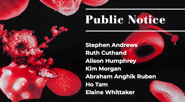 Public Notice – Catalogue Design | Sam Mogelonsky